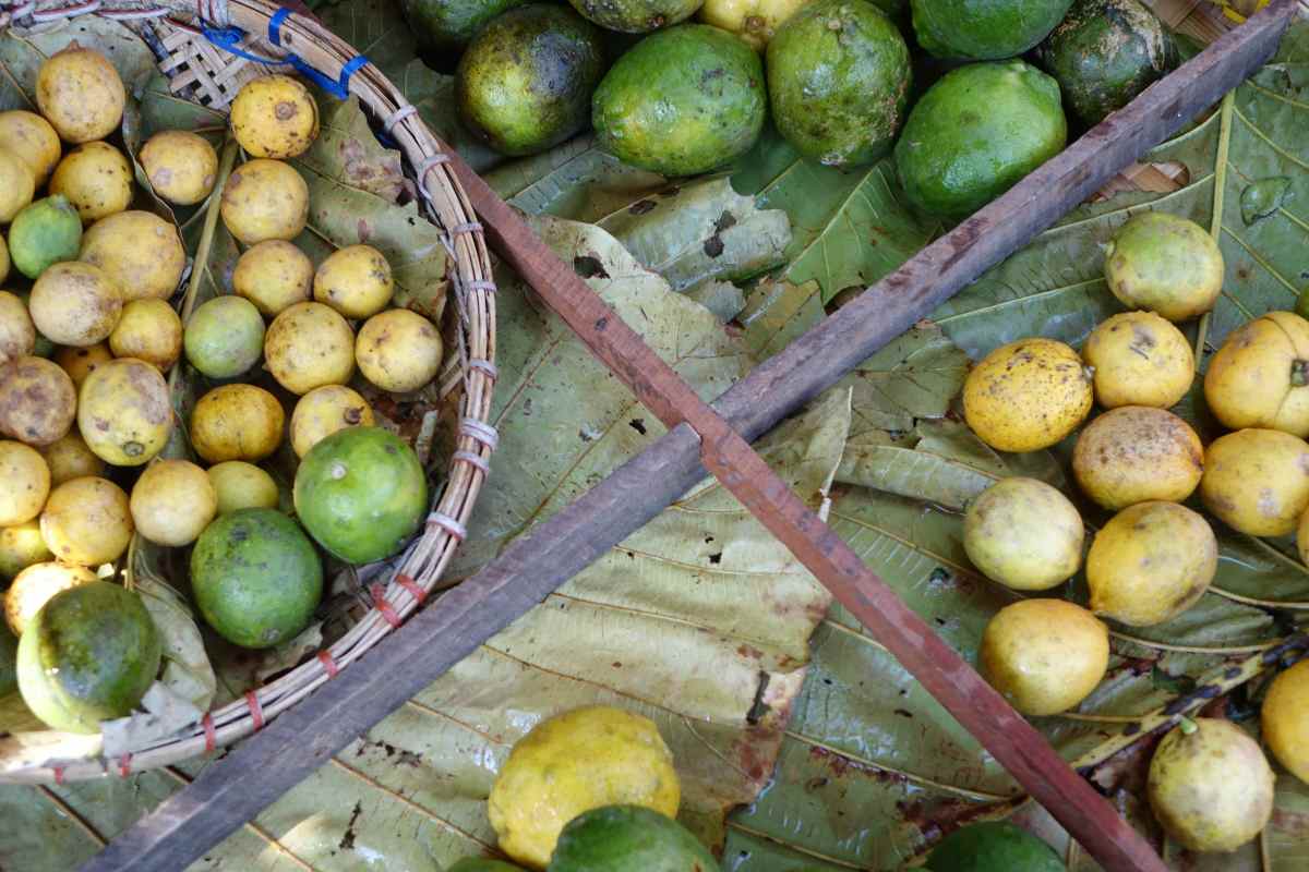 Making sense of … | judith beyer