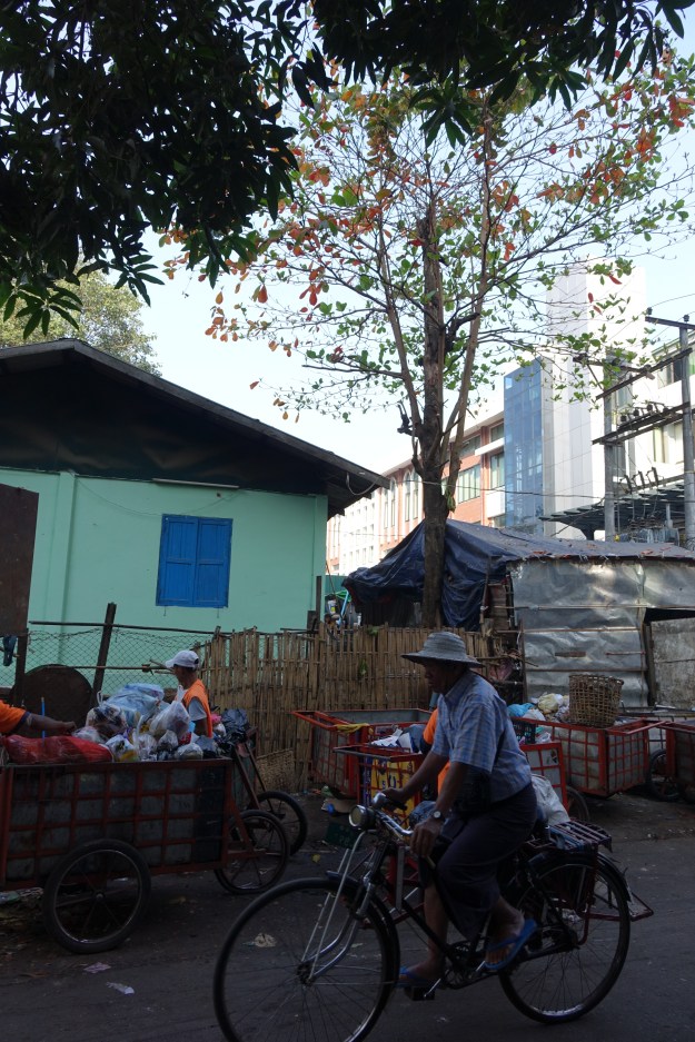 Making sense of … | judith beyer